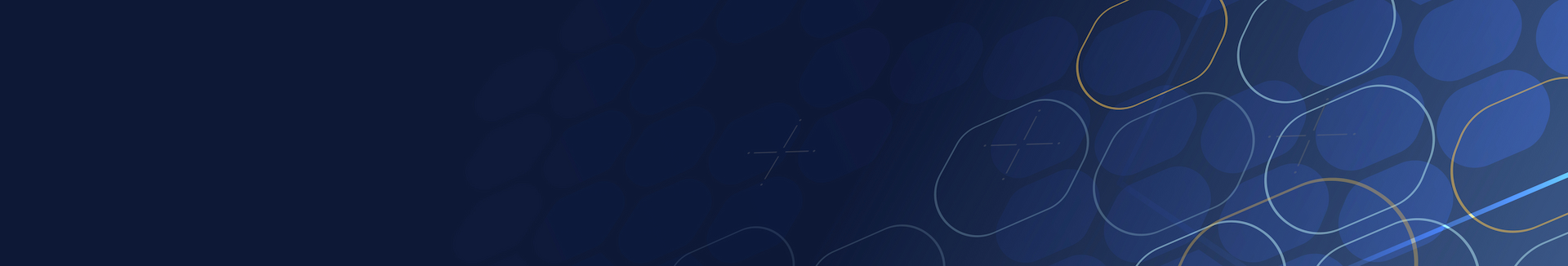 Our Firm - ACE Advisory