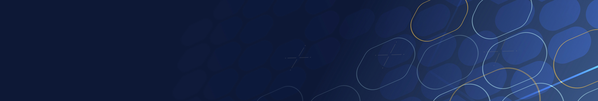 Our Firm - ACE Advisory