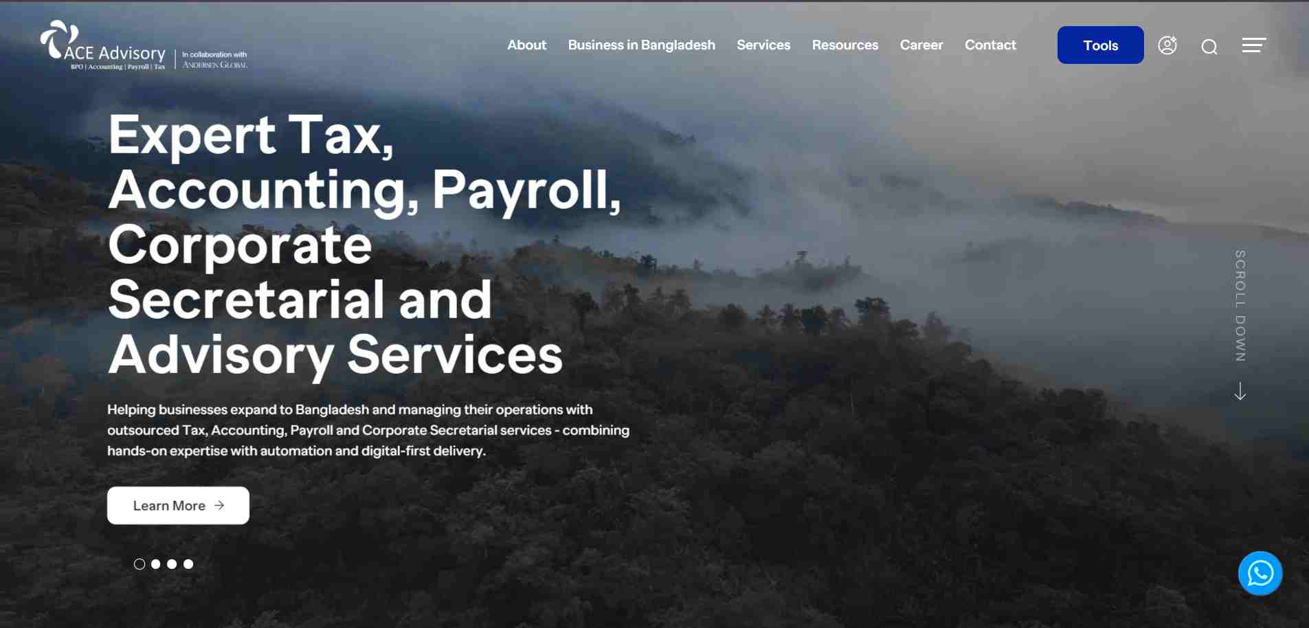 ACE Advisory - Accounting, Payroll, Tax and COSEC Services in Bangladesh